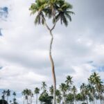 TONGATAPU ISLAND TOUR- Takeaway Tonga and You - Is This Tour Right for You?