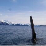 Tonsina Beach Hike with Seward Guided Hikes - Practical Details: What You Need to Know