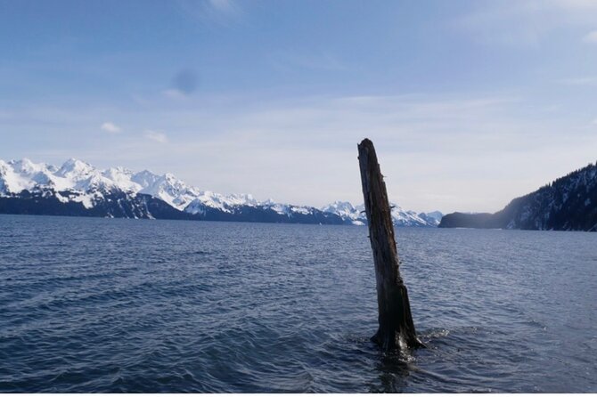 Tonsina Beach Hike with Seward Guided Hikes - Practical Details: What You Need to Know