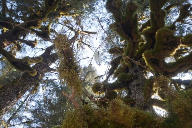 Tonsina Beach Hike with Seward Guided Hikes - FAQ
