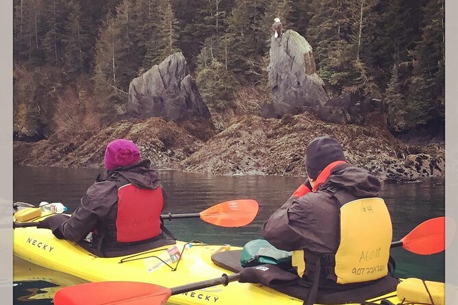 Tonsina Point Kayak in Resurrection Bay - Introduction: What’s the Buzz About This Tour?