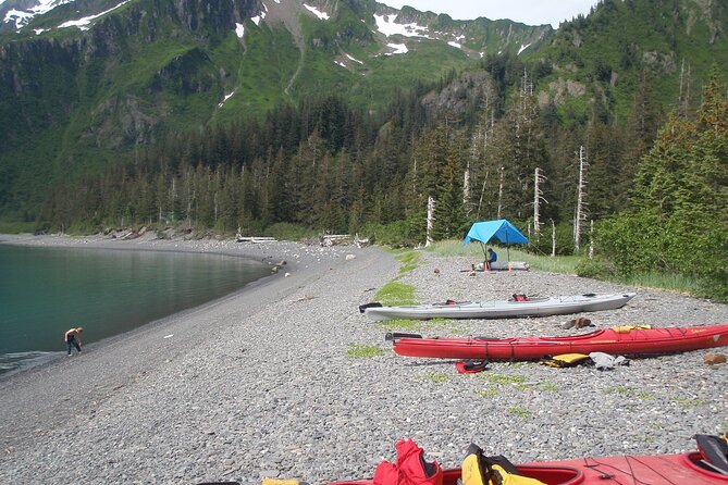 Tonsina Point Kayak in Resurrection Bay - The Itinerary: What You Can Expect
