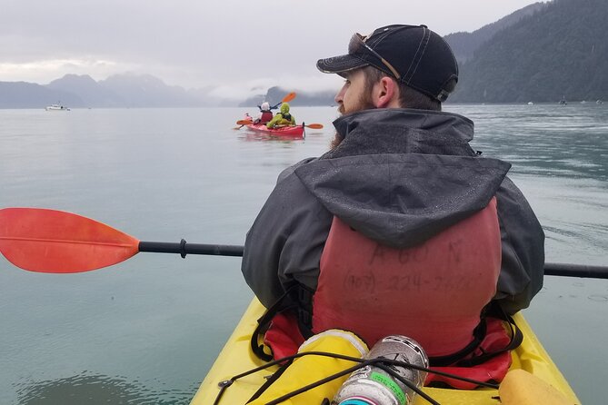 Tonsina Point Kayak in Resurrection Bay - The Experience: What Makes It Special?
