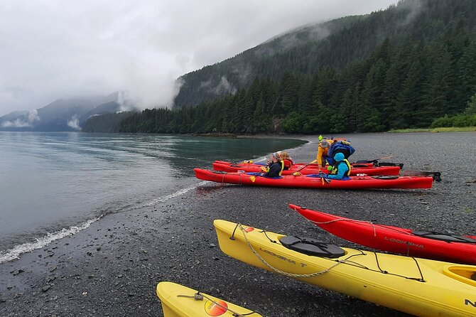 Tonsina Point Kayak in Resurrection Bay - Analyzing the Cost: Is It Worth $99?