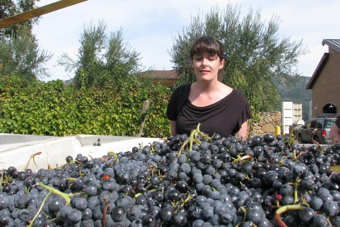 Top Notch Napa Valley Private Custom Tour - Who Will Love This Tour?
