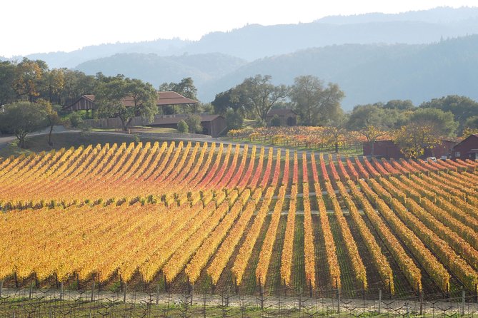 Top Notch Napa Valley Private Custom Tour - The Sum Up
