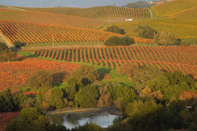 Top Notch Napa Valley Private Custom Tour - FAQs