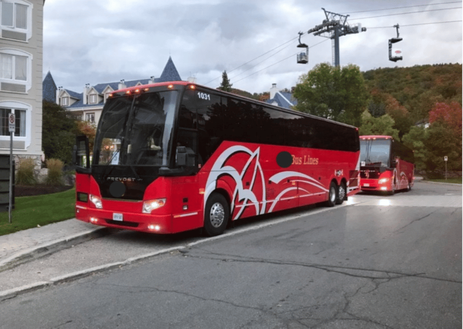 Toronto and Niagara Falls: Full-Day City and Nature Tour - FAQ