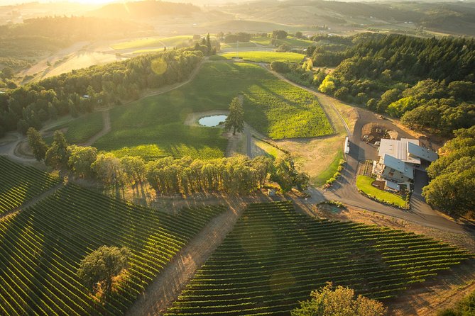 Tour DeVine by Heli - Helicopter Wine Tour - A Closer Look at the Tour DeVine by Heli - Helicopter Wine Tour