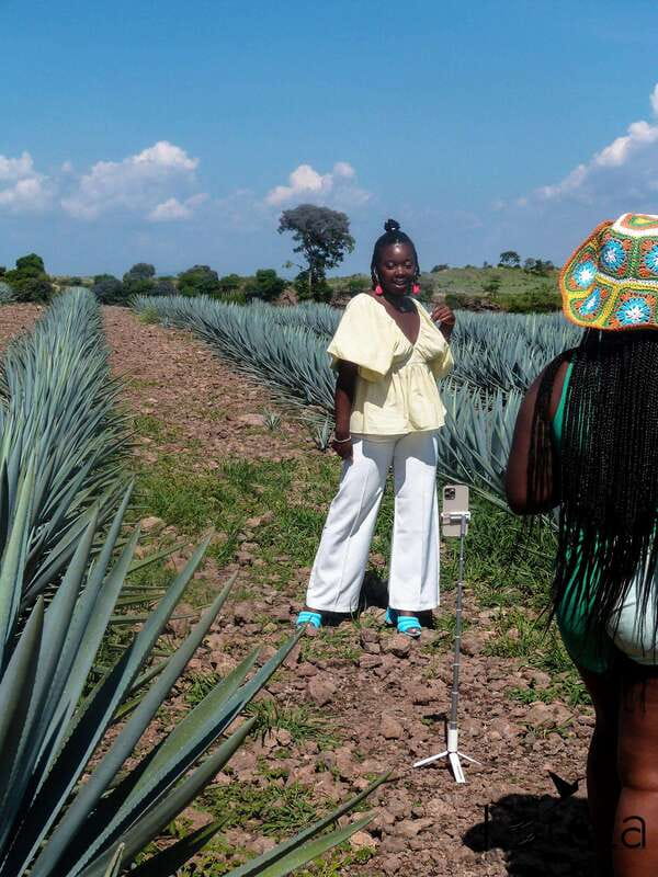 Tour Tequila Loreta Travel&Tour - Key Points
