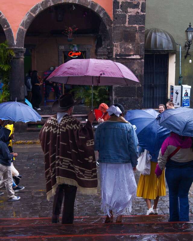 Tour Tequila Loreta Travel&Tour - What Travelers Say: Authentic Insights