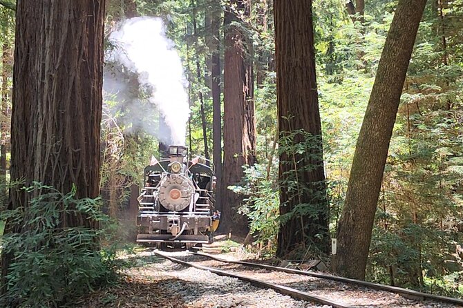 Train Ride Adventure through Mother Natures Giant Redwoods Park - Introduction: A Scenic Day with Giants and Trains