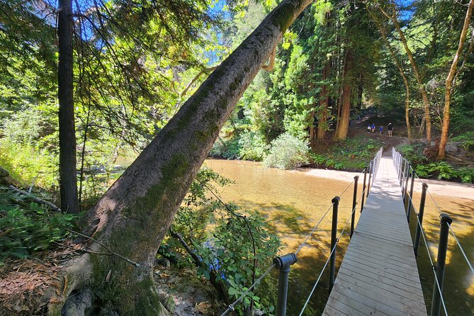 Train Ride Adventure through Mother Natures Giant Redwoods Park - FAQs