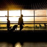 Transfer Buffalo Niagara International Airport BUF to Niagara Falls,Canada - The Value of the Service