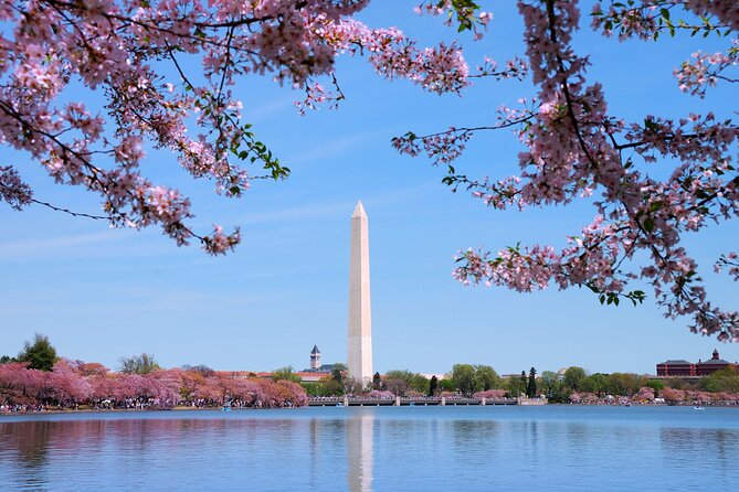 Transfer Dulles Airport (IAD) to Washington City Center - The Sum Up: Is This Transfer Service Worth It?
