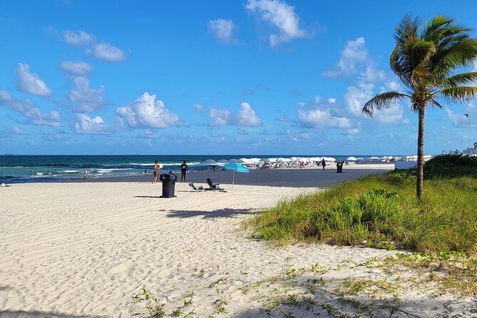 Transfer from Miami Airport to Hotel or Port Miami. Up to 11 pax. - Who Should Book This Transfer?
