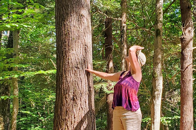 Transformative Forest Escape: A Mindful Journey for Inner Calm - Why This Tour Is Worth Considering