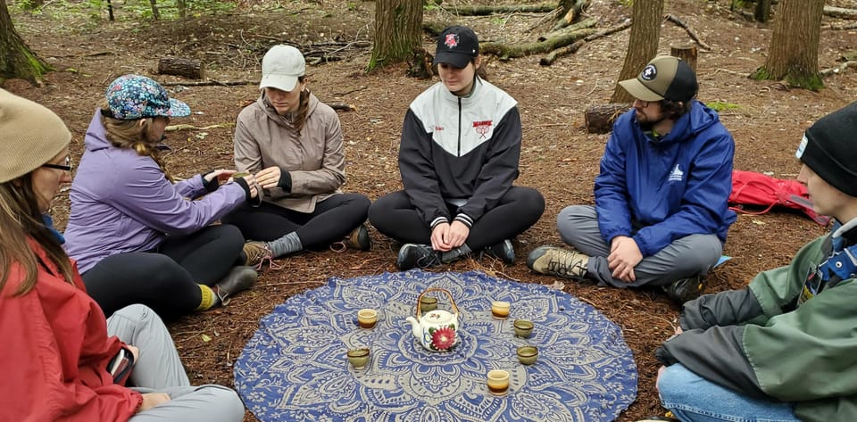 Transformative Forest Escape: Rebalance, Connect, Renew - Exploring the Forest: What to Expect on the Retreat  