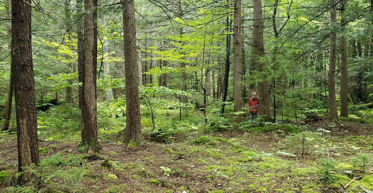 Transformative Forest Escape: Rebalance, Connect, Renew - The Logistics: Meeting, Duration, and Practicalities  