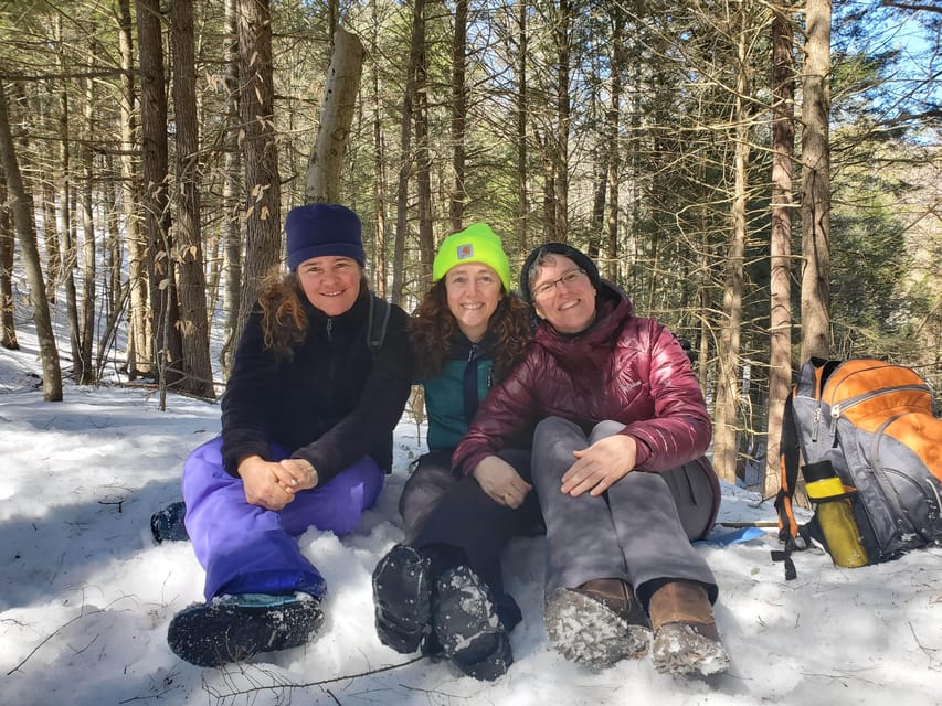 Transformative Forest Escape: Rebalance, Connect, Renew - The Sum Up  
