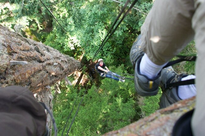 Tree Canopy Climbing on Lopez Island - The Details: What to Expect from This Tree Climbing Adventure