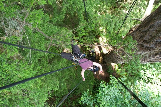 Tree Canopy Climbing on Lopez Island - Authentic Experiences from Other Travelers