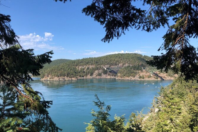 Tree Canopy Climbing on Lopez Island - Who Should Consider This Tour?