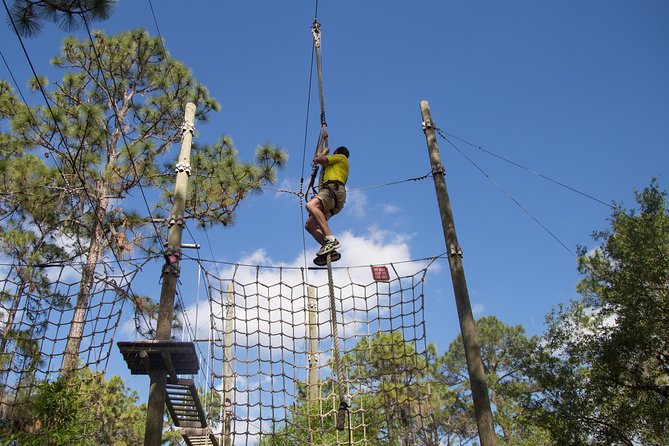 TreeUmph Adventure Course - Who Should Consider This Tour?