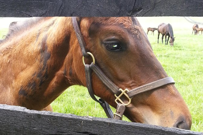 Triple Crown Experience - An Overview of the Trip