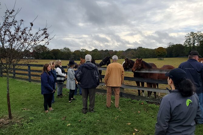 Triple Crown Experience - What Reviewers Love Most