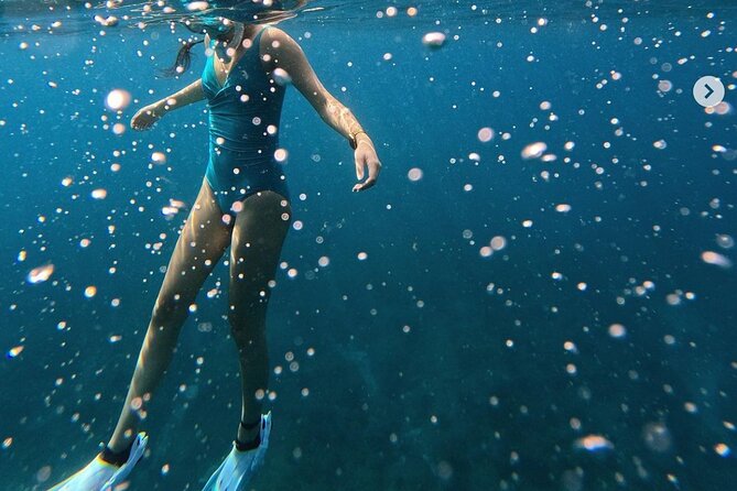 Tropical Reef & Wildlife Boat Snorkel Adventure - What to Expect on the Tropical Reef & Wildlife Boat Snorkel Adventure