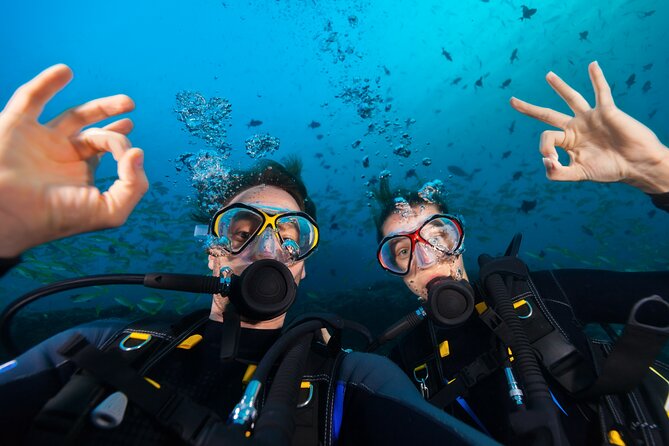 Try Scuba Diving in Kauai From a Boat for Non-Certified Divers - Experience the Underwater World of Kauai Without a Certification