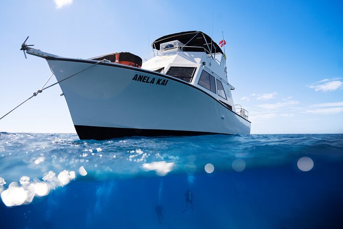 Try Scuba Diving in Kauai From a Boat for Non-Certified Divers - Why Choose This Kauai Scuba Tour?