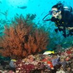 Try Scuba Diving in Kauai From a Boat for Non-Certified Divers - In-Depth Look at the Itinerary