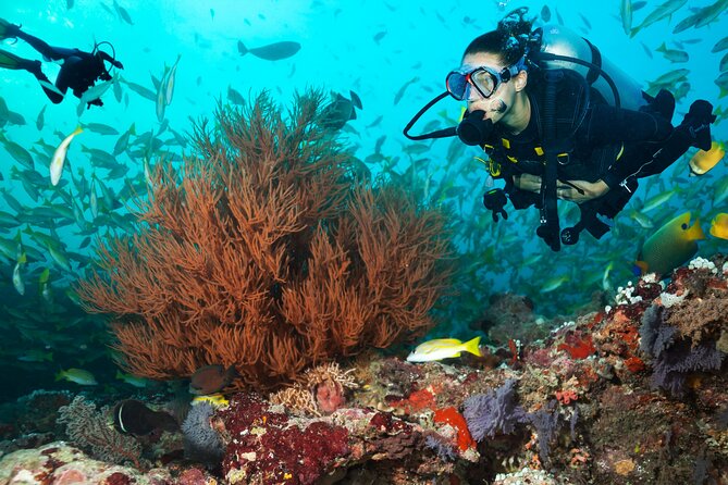 Try Scuba Diving in Kauai From a Boat for Non-Certified Divers - In-Depth Look at the Itinerary