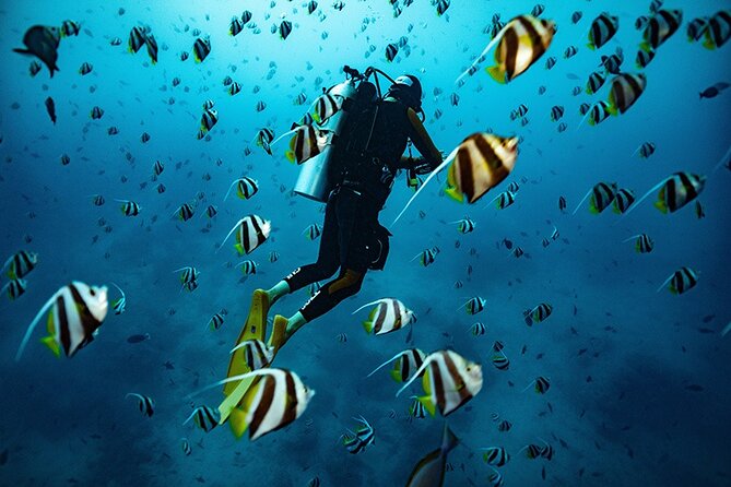 Try Scuba Diving in Kauai: No Experience Needed - Key Points