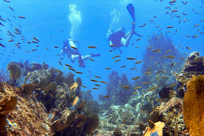 Try Scuba Diving in Kauai: No Experience Needed - Who Should Book This Tour?