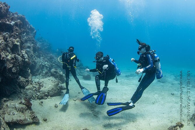 Try Scuba Diving on Kauai with Sea Turtles - Frequently Asked Questions