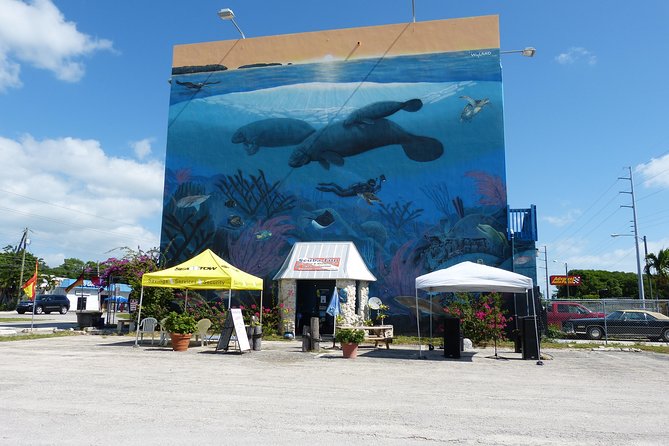 Try Scuba Diving with Professional Scuba Instructor - Introduction: First-Time Underwater Adventure in Key Largo