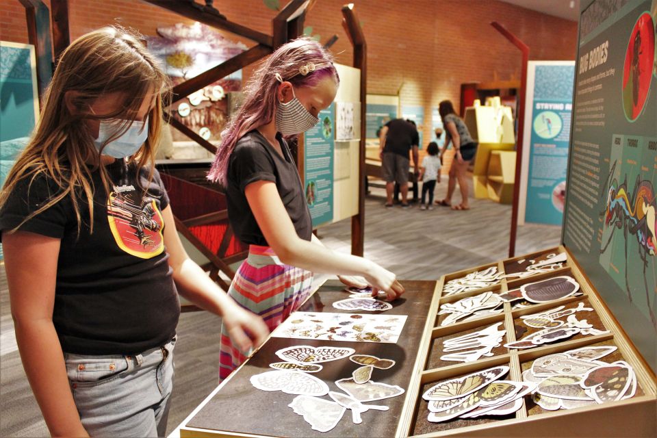 Tucson: Flandrau Science Center Entry Ticket - Key Points