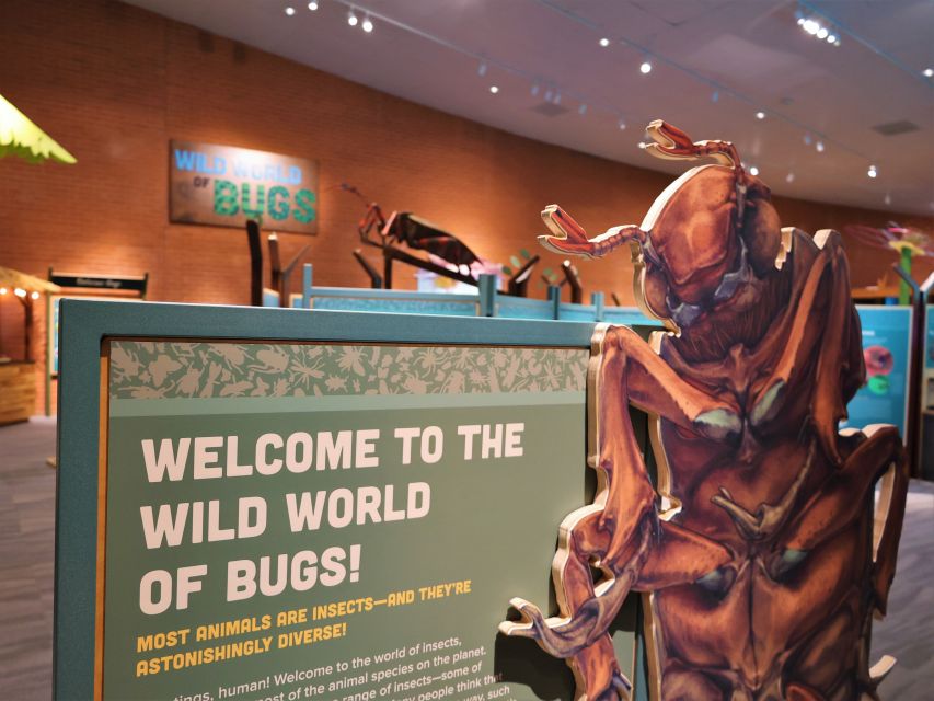 Tucson: Flandrau Science Center Entry Ticket - The Sum Up