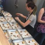 Tucson Food Tours- 4th Ave & Main Gate Square Walking Food Tour - What Travelers Are Saying
