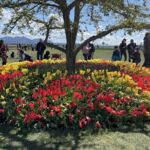 Tulip Festival in Skagit Valley Tour from Seattle - Transportation and Group Size