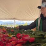 Tulip Valley Farms U Pick Experience - Final Thoughts