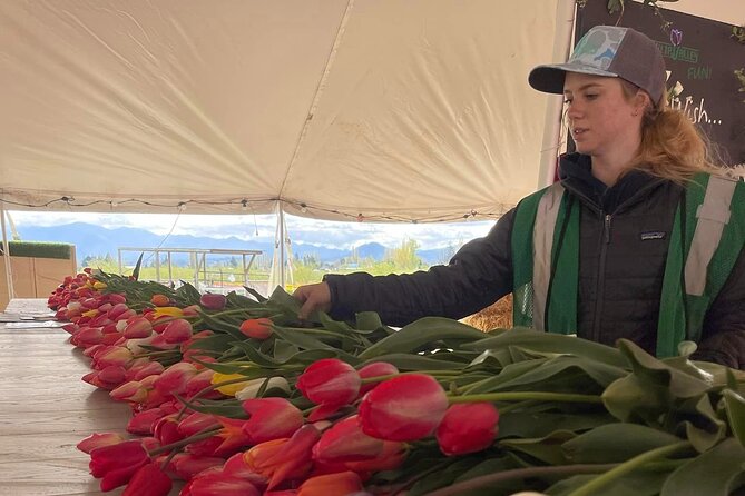 Tulip Valley Farms U Pick Experience - Final Thoughts