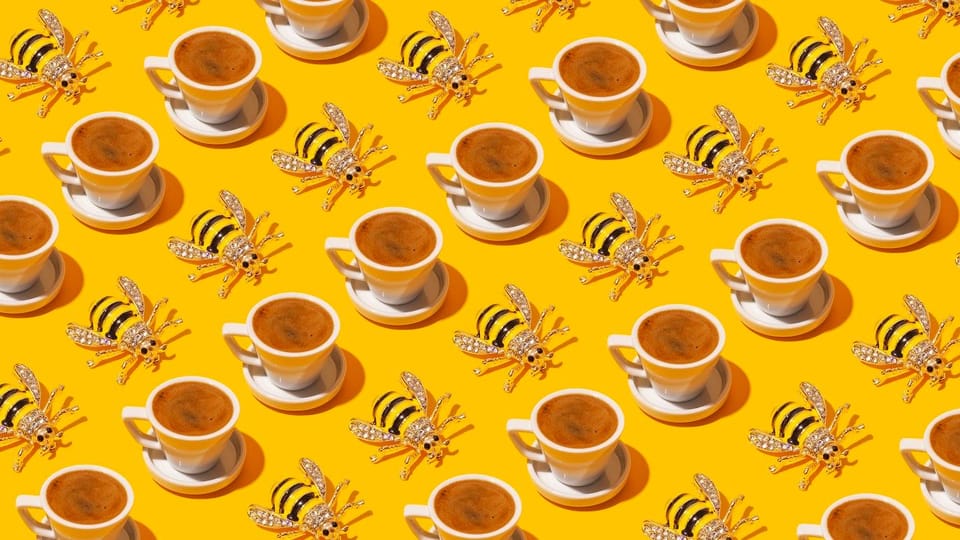 Turkish Coffee Fortune Ceremony - The Reviews: Authentic Perspectives