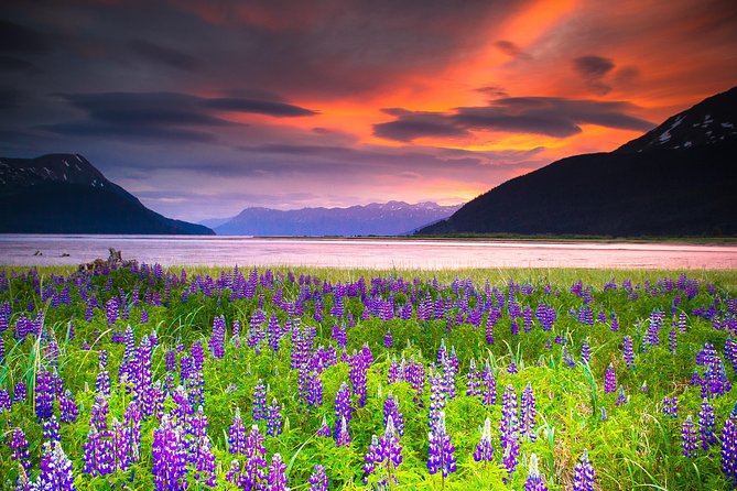 Turnagain Arm Tour - The Itinerary: Breaking Down the Experience