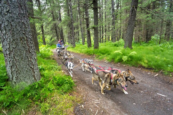 Turning Heads Kennel Dogsledding Experience & Tour - Value and Pricing
