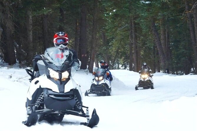 Turpin Meadow Ranch Snowmobiling in Jackson Hole - An In-Depth Look at the Snowmobiling Experience