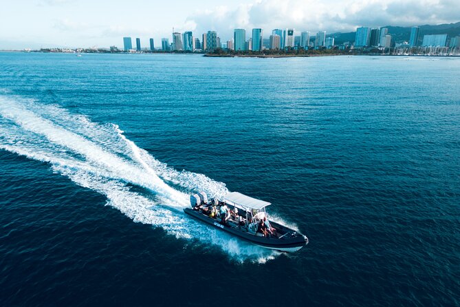 Turtle Canyon Snorkel: Semi Private Boat Tour - The Experience in Detail